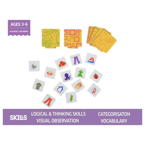 Sort in The Box - Fun Sorting and Matching Learning Activity – Edu Toys
