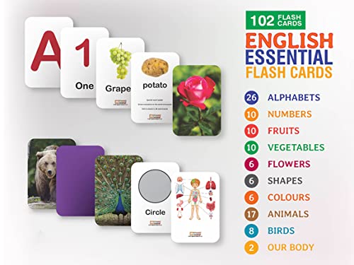 Flash Cards combo for kids English Essential Mega combo Early Learning ...
