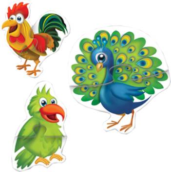 HEAD & TAIL - BIRDS – Edu Toys